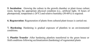 Regeneration of plants and application of plant tissue culture | PDF ...