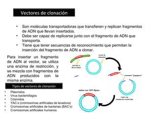Biotecnología y algunas ramas | PPT
