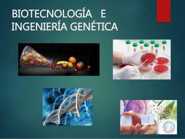 BIOTECNOLOGÍA E INGENIERÍA GENÉTICA