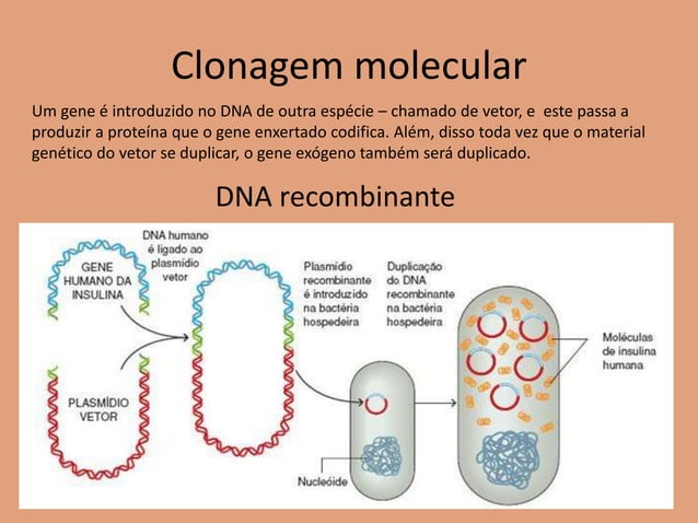 Biotecnologia clonagem e células tronco | PPTX