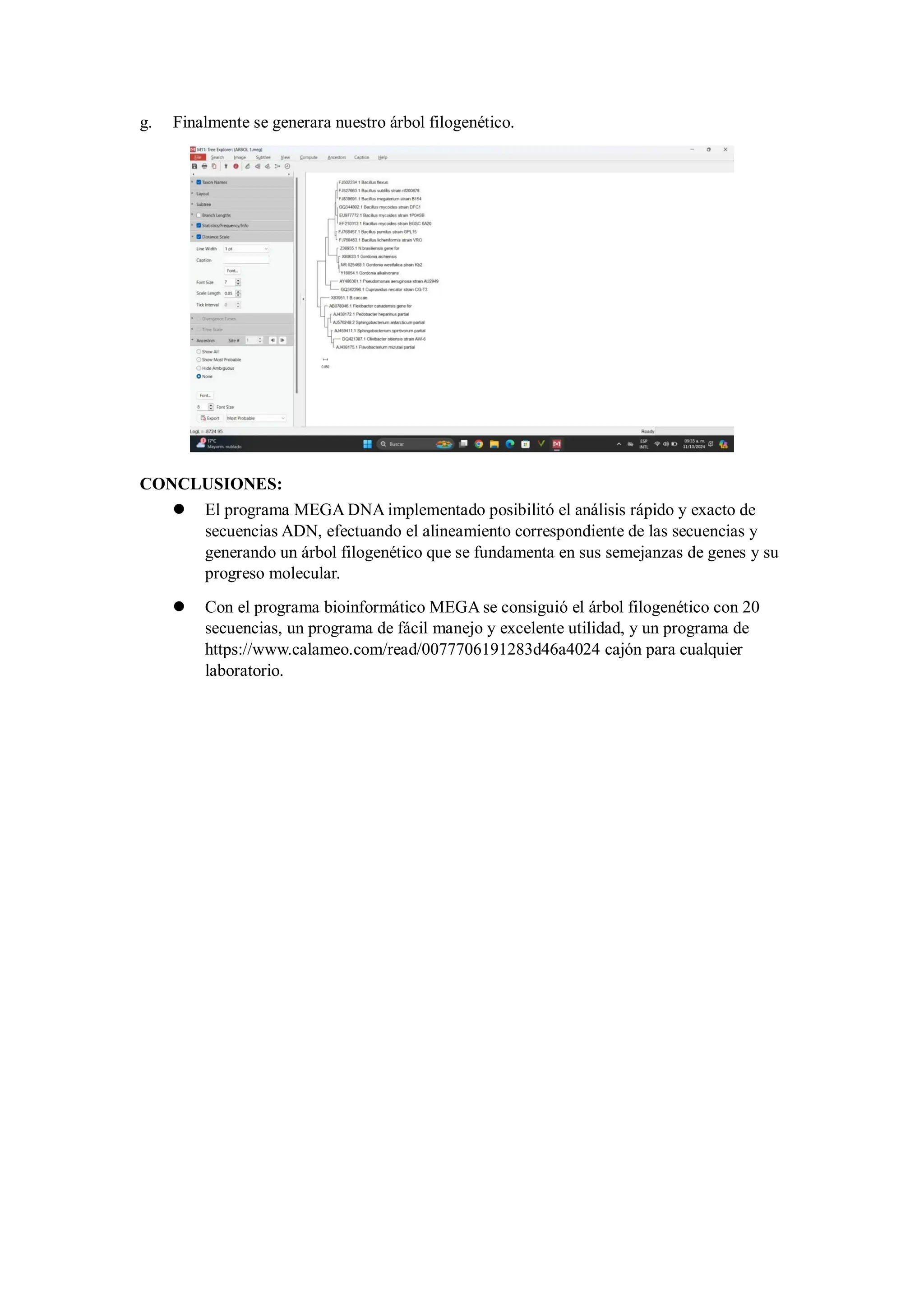 Uso del software MEGA para alineación de secuencias de ADN | PDF