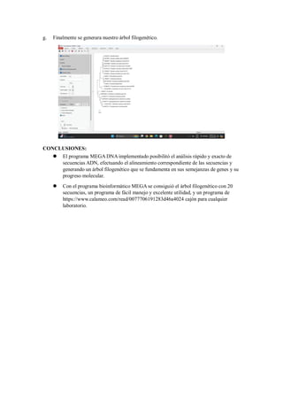 Uso del software MEGA para alineación de secuencias de ADN | PDF