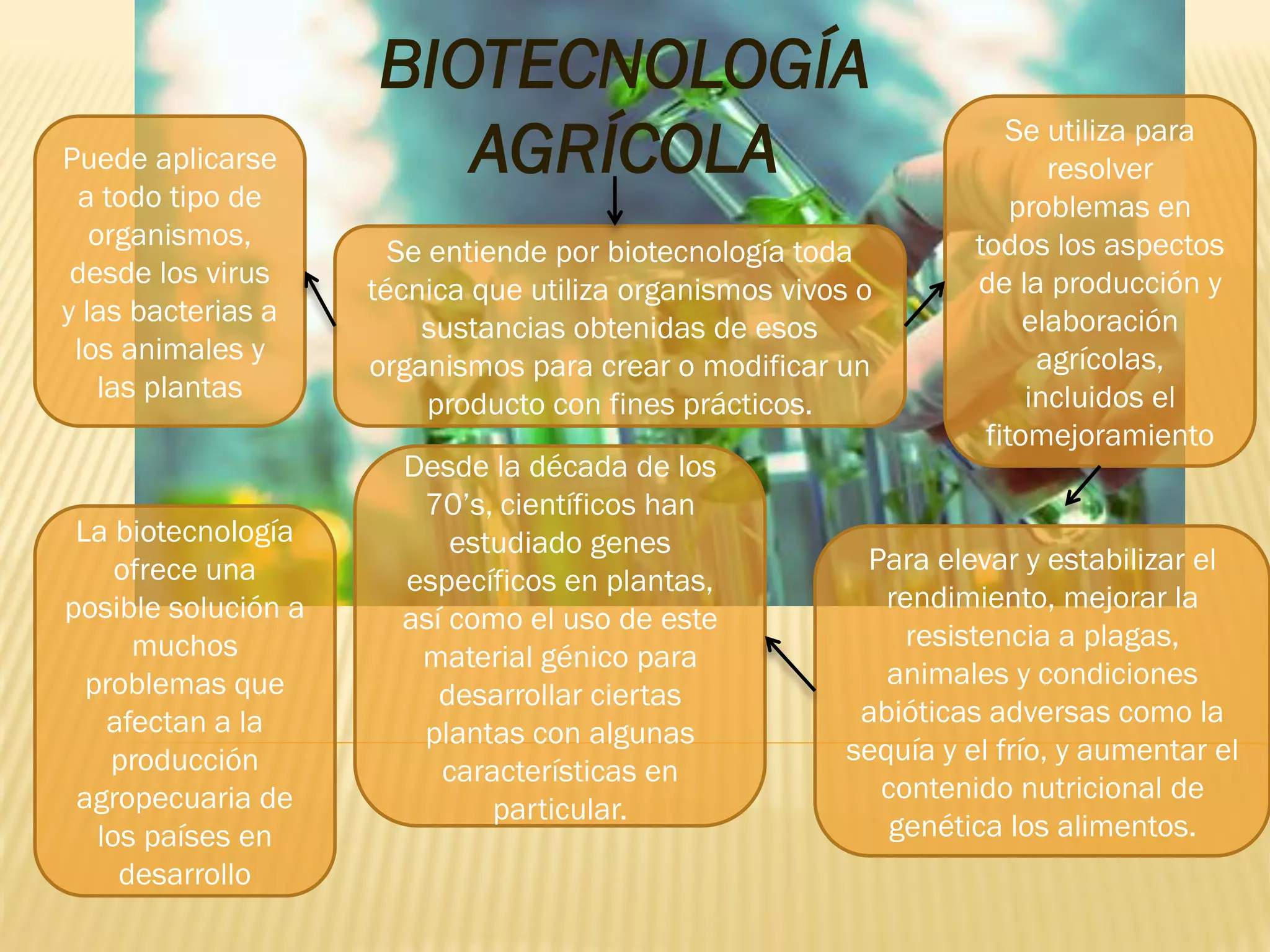 Biotecnologia agricola mapa conc | PDF