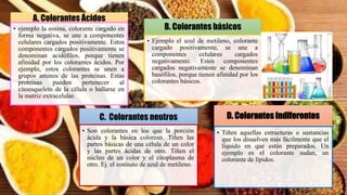 BIOTECNOLOGIA DE COLORANTES.pptx