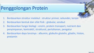 Enzim dan Protein | PPTX