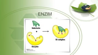 Enzim dan Protein | PPTX