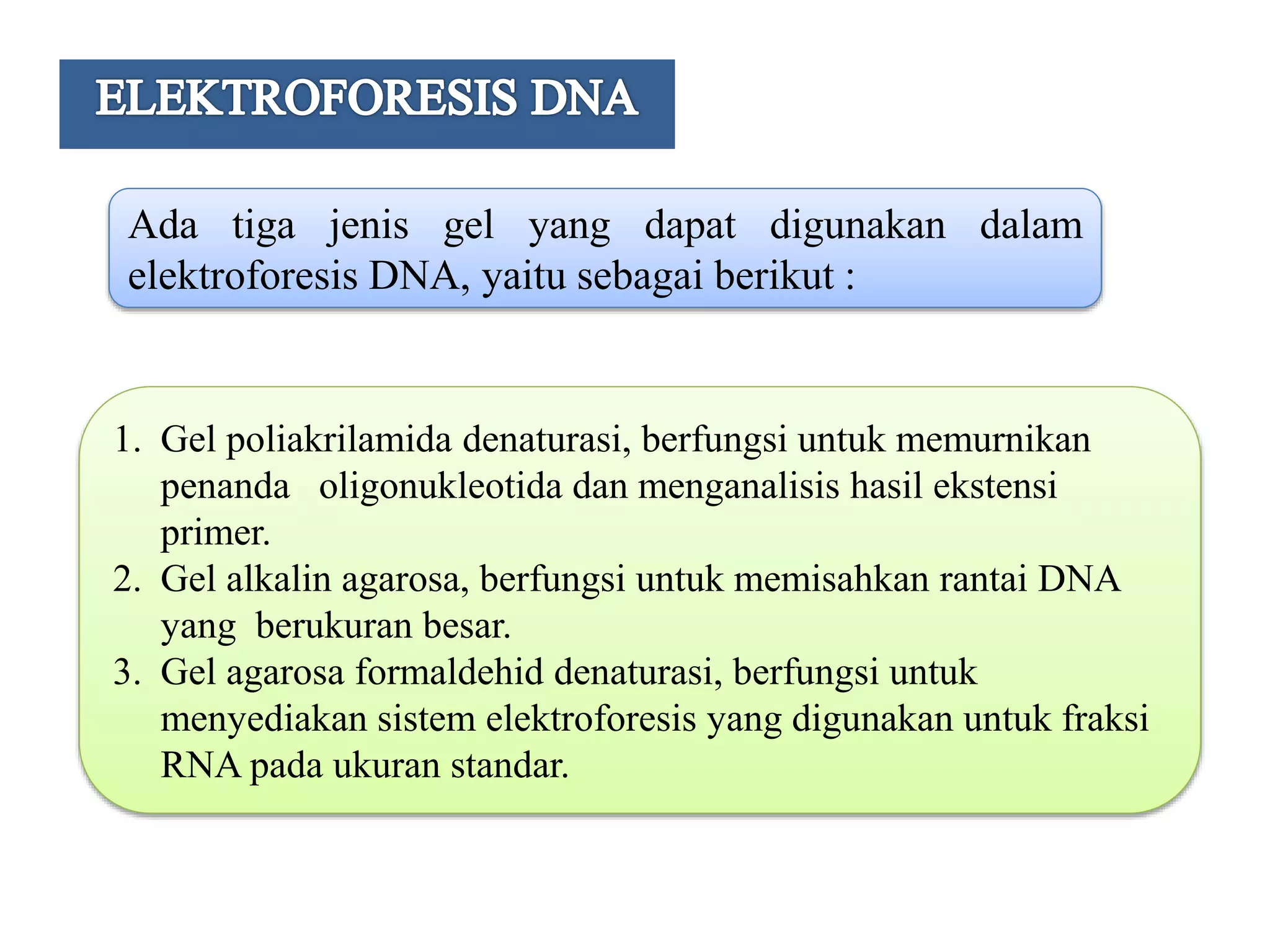 Kelompok 8 Kimia B ( Elektroforesis) | PPTX