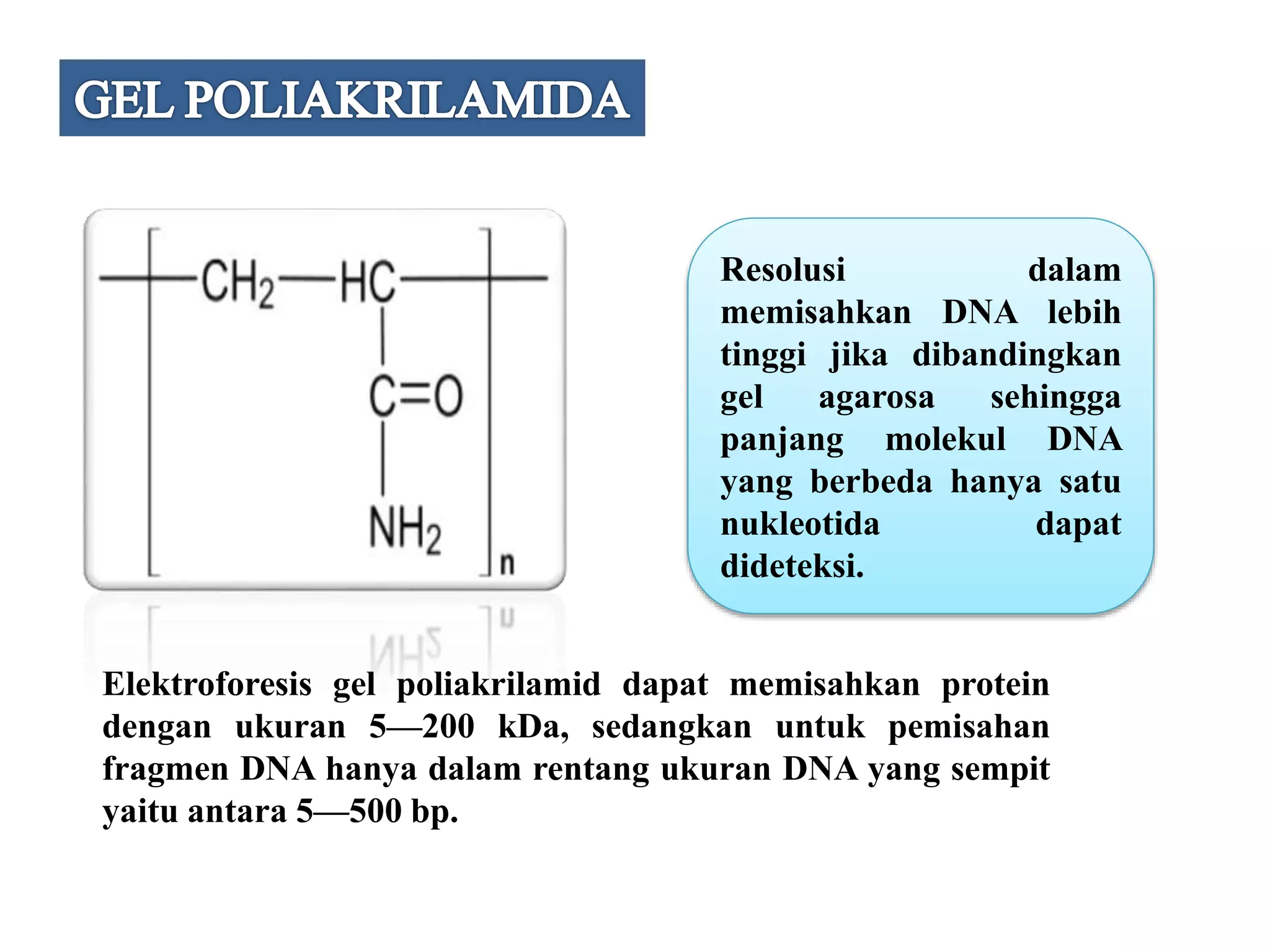 Kelompok 8 Kimia B ( Elektroforesis) | PPTX