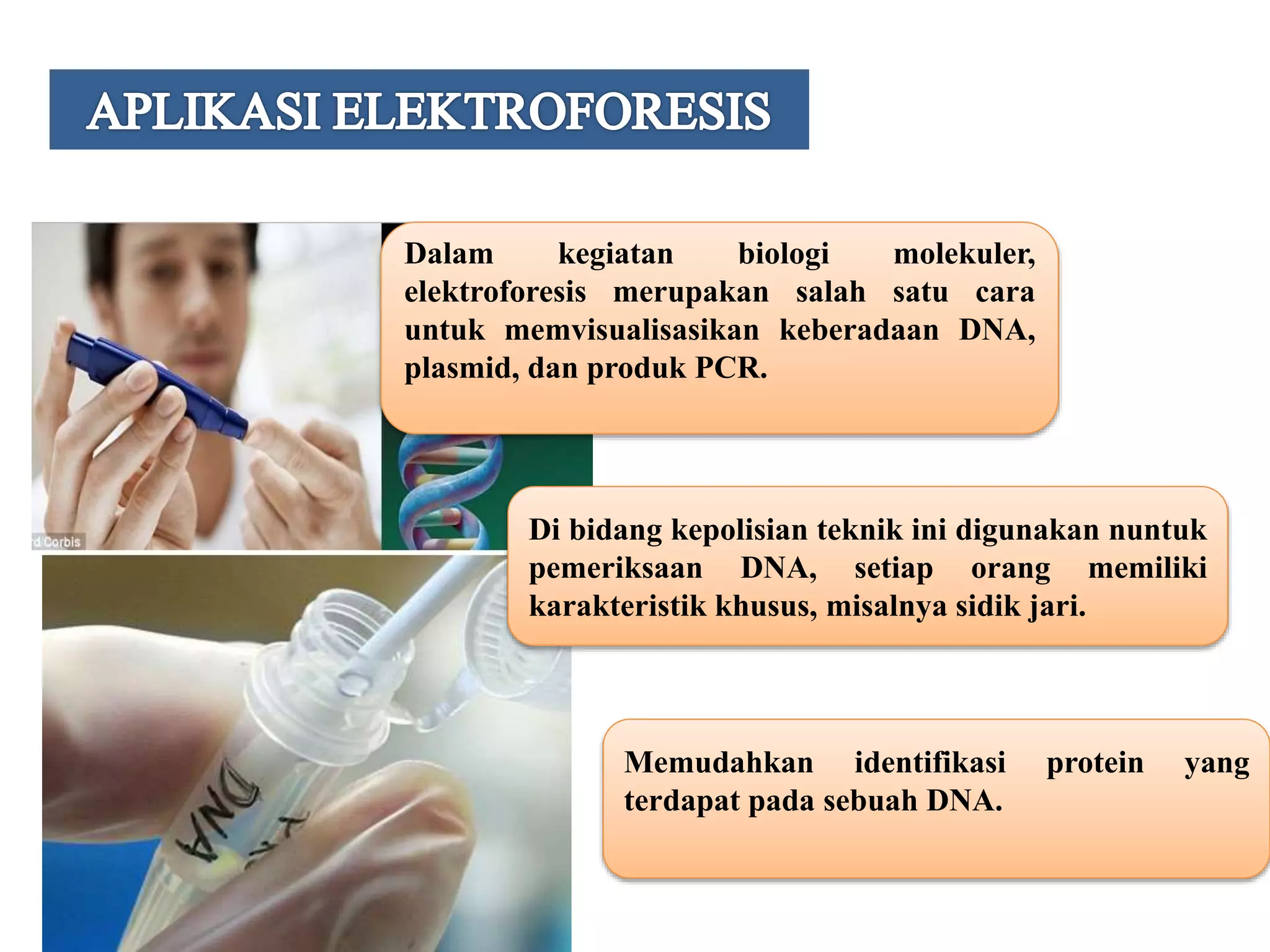 Kelompok 8 Kimia B ( Elektroforesis) | PPTX