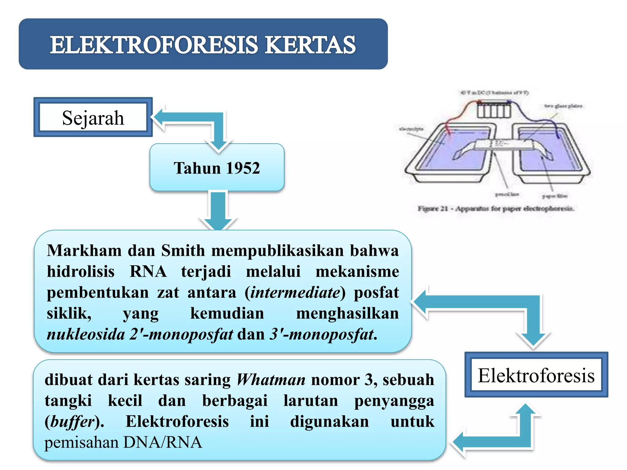 Kelompok 8 Kimia B ( Elektroforesis) | PPTX
