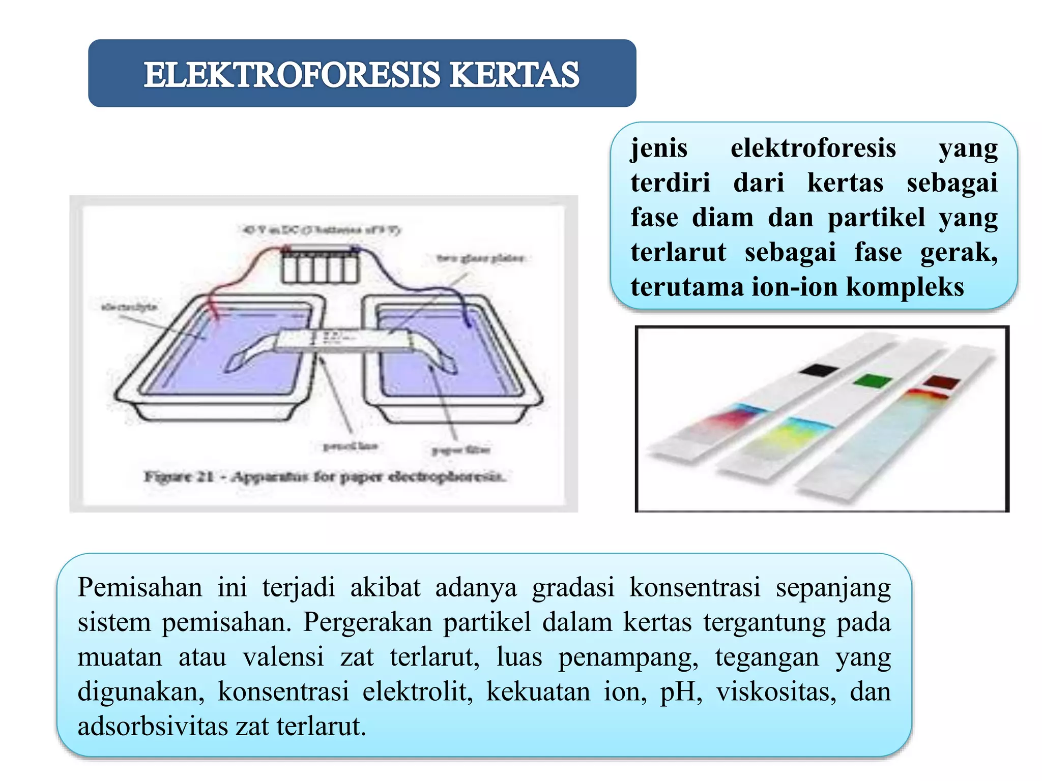 Kelompok 8 Kimia B ( Elektroforesis) | PPTX
