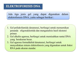 Kelompok 8 Kimia B ( Elektroforesis) | PPTX