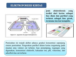 Kelompok 8 Kimia B ( Elektroforesis) | PPTX