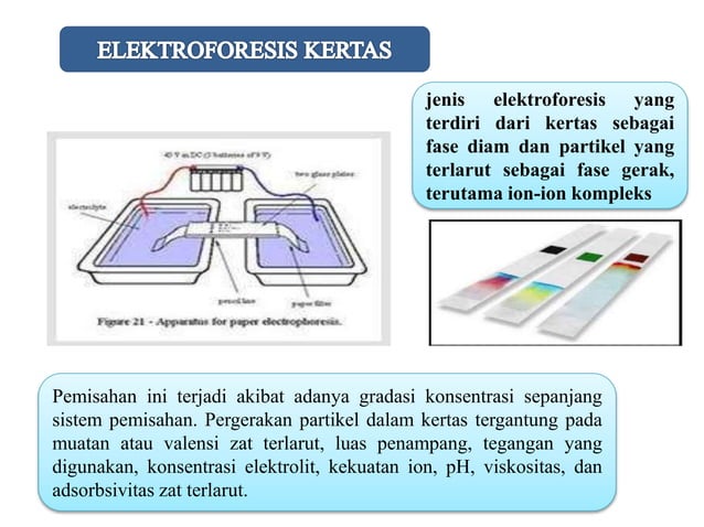Kelompok 8 Kimia B ( Elektroforesis) | PPTX
