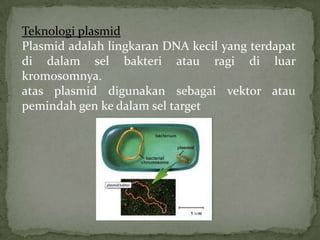 Bioteknologi | PPTX