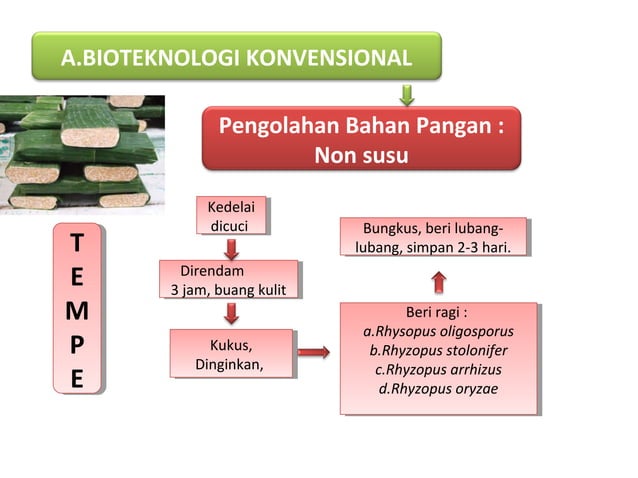 Bioteknologi | PPT | Free Download