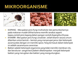 Bioteknologi.ppt