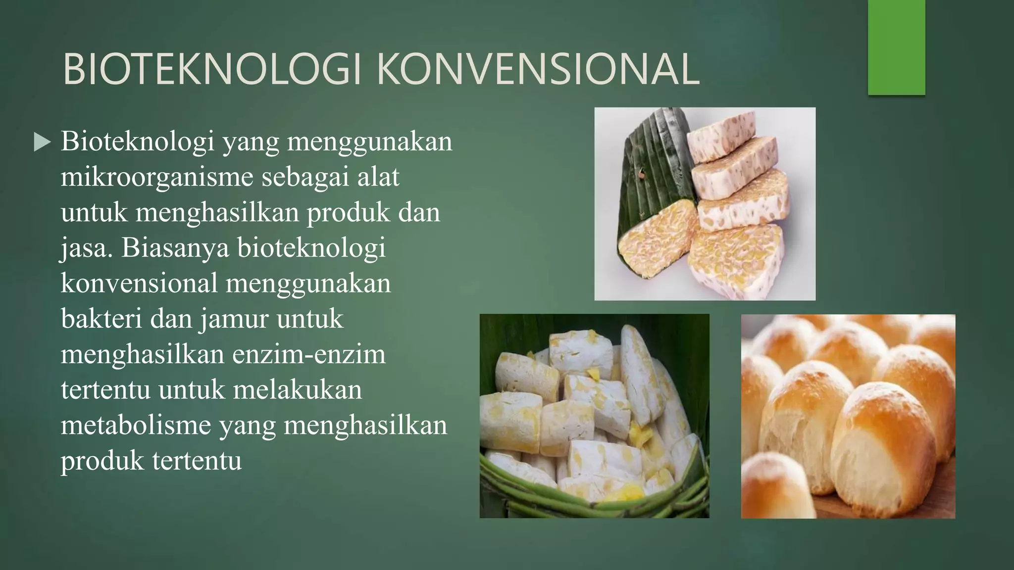 BIOTEKNOLOGI.pptx