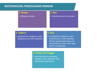 Penerapan Bioteknologi dalam kehidupan. Materi Kelas IX | PPTX