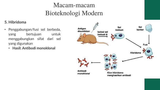 PPT Bioteknologi (Biotek Modern dan Konvensional) | PPTX