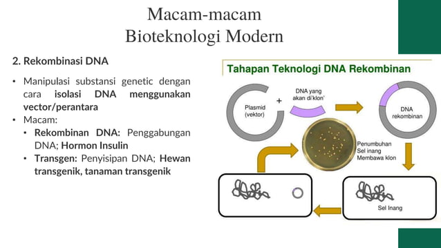 PPT Bioteknologi (Biotek Modern dan Konvensional) | PPTX