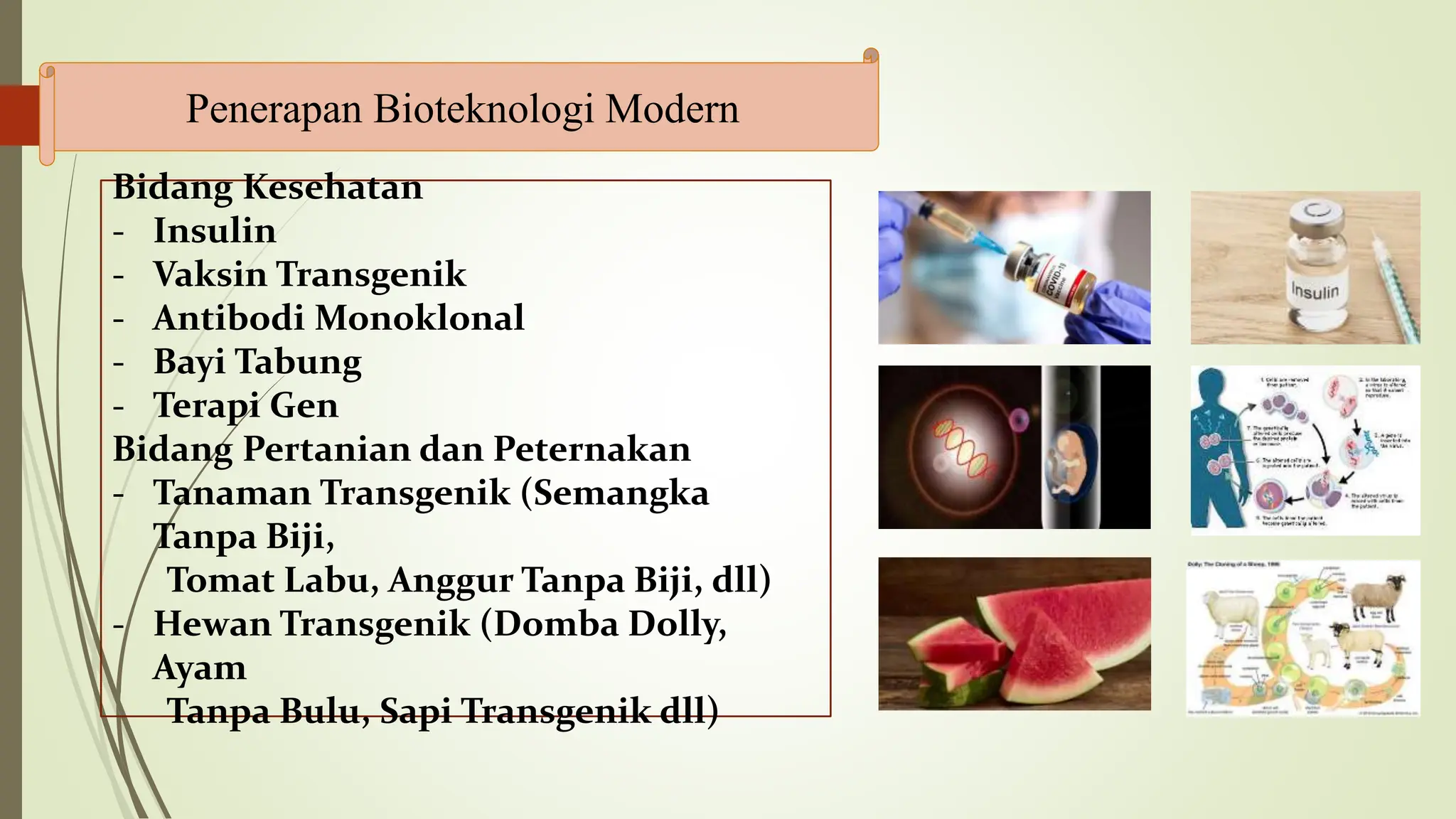 Materi Kelas IX Bioteknologi PPT KURIKULUM MERDEKA | PPTX