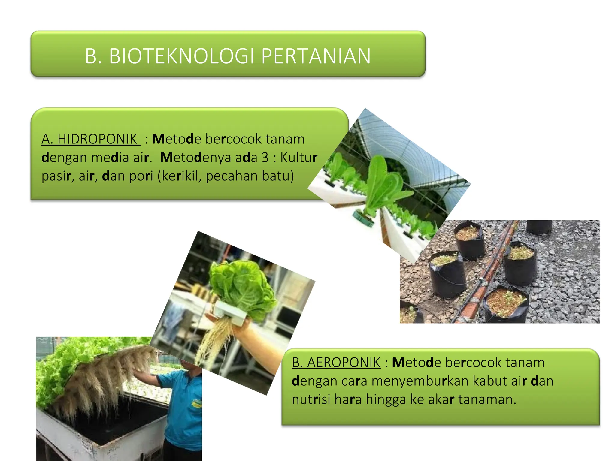 bioteknologi PRESENTASI BIOTEKNOLOGI KELAS 7.ppt