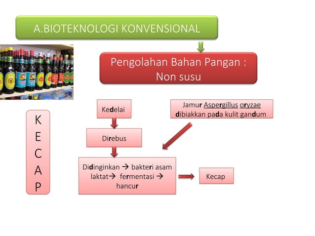 bioteknologi PRESENTASI BIOTEKNOLOGI KELAS 7.ppt