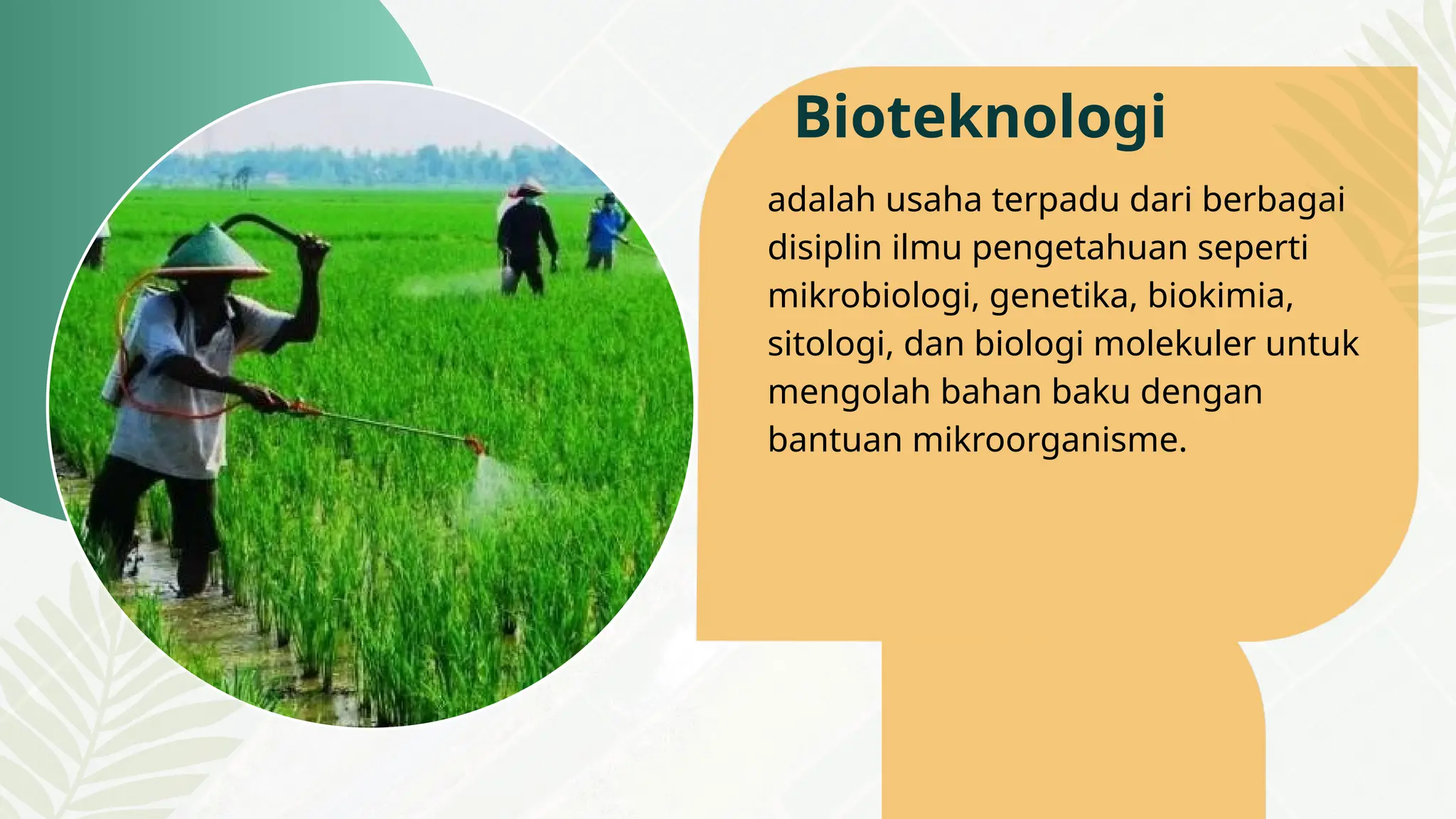 PPT BIOTEKNOLOGI. Bioteknologi pangan, industri, dan pertanian | PPT
