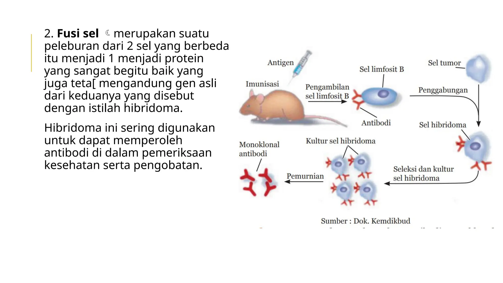 BIOTEKNOLOGI ( materi biologi kelas 10 ).pptx