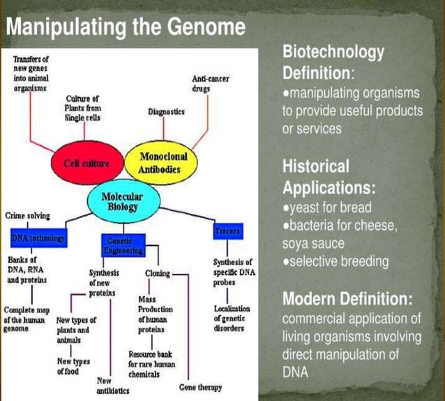 Bioteknologi 8-basic techniques in biotechnology | PPT