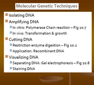 Bioteknologi 8-basic techniques in biotechnology | PPT