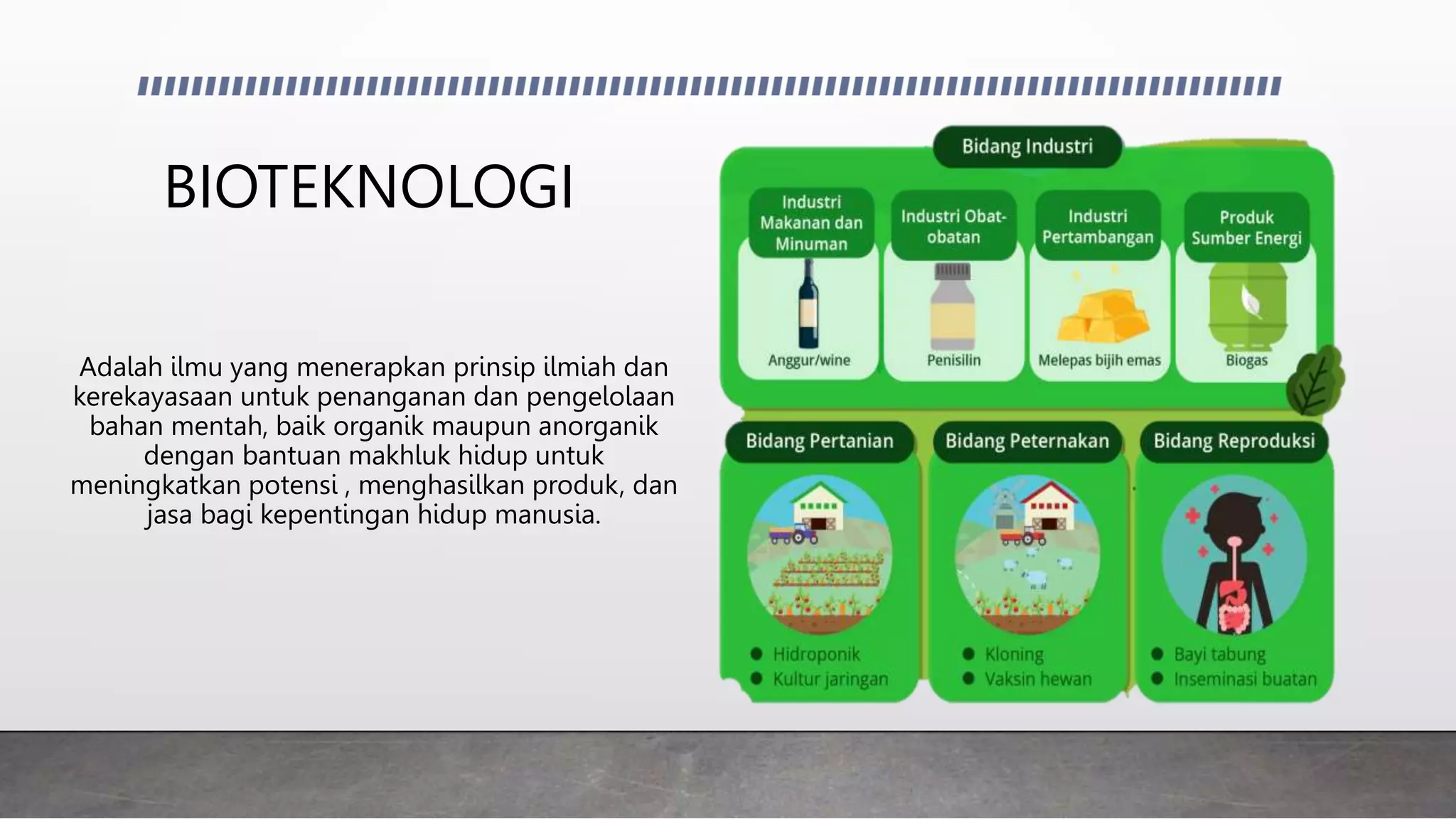 BIOTEKNOLOGI 10.pptx