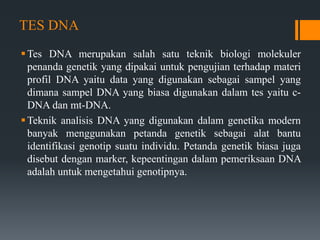 BIOTEKNOLOGI 1 KLP 4 (1) (1).pptx