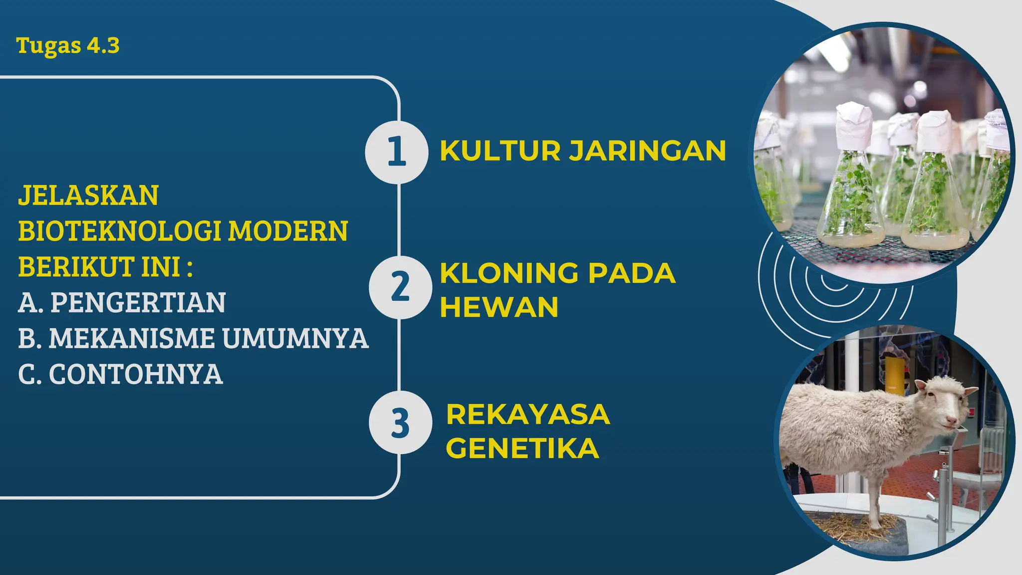 contoh Tugas Bioteknologi kelas X KurMer | PDF