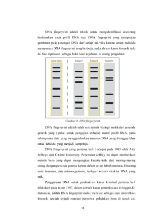 Bioteknologi di bidang forensik | DOCX