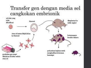 Bioteknologi Hewan.ppt