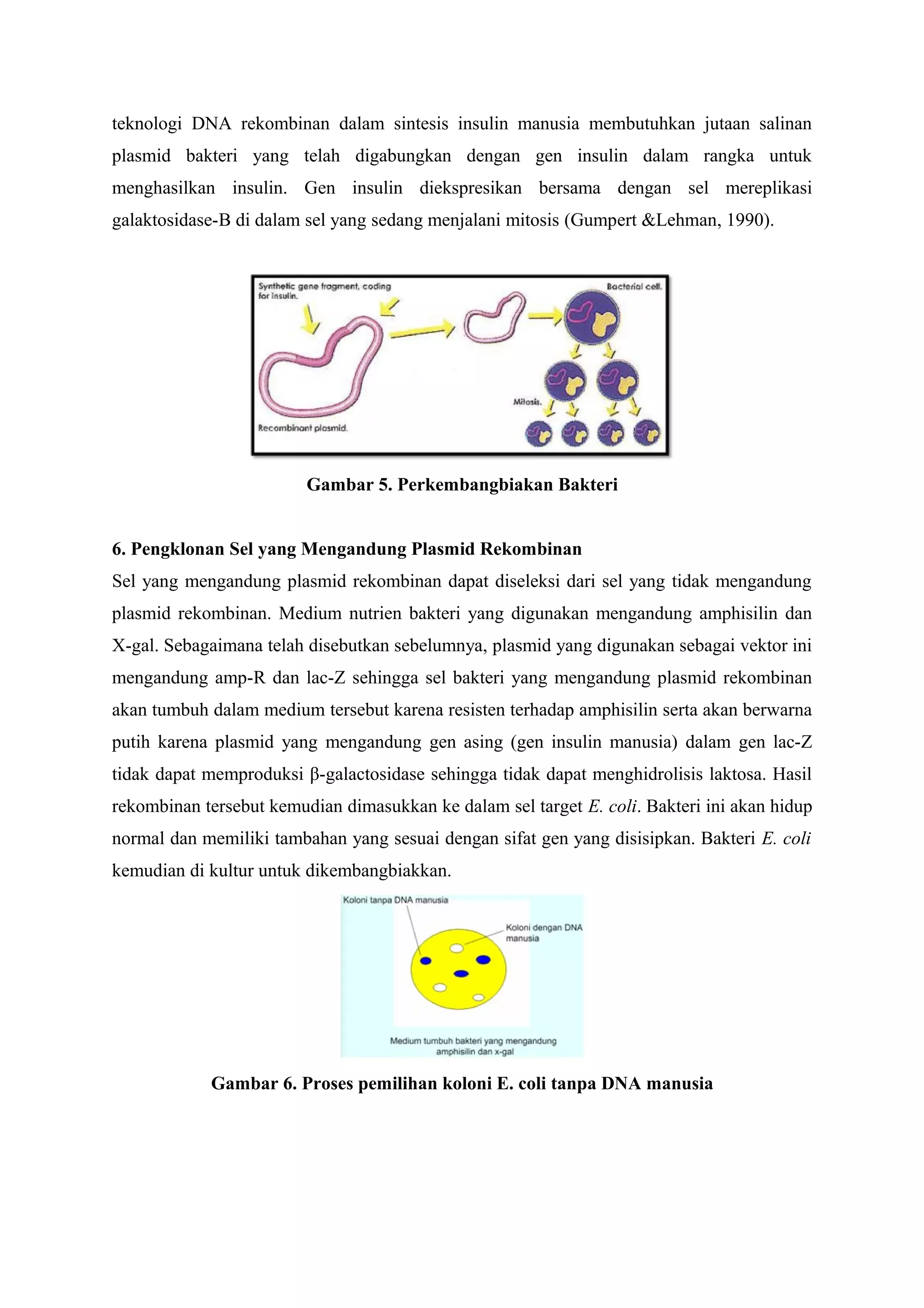 Bioteknologi kesehatan (insulin) | DOC