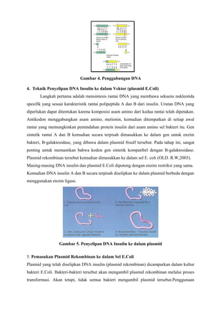 Bioteknologi kesehatan (insulin) | DOC