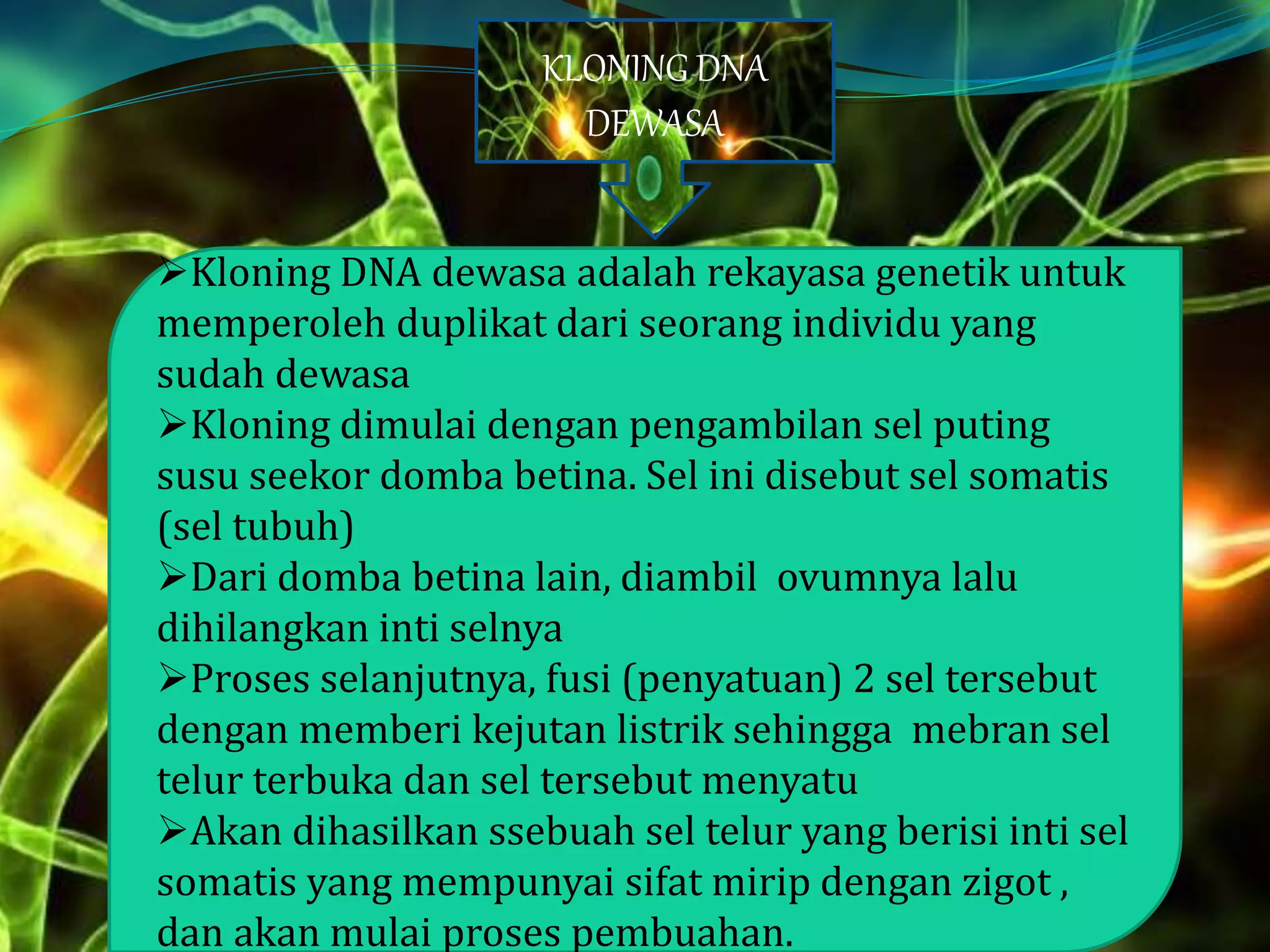 Bioteknologi kloning kelas XII SMA - SMANJA | PPTX