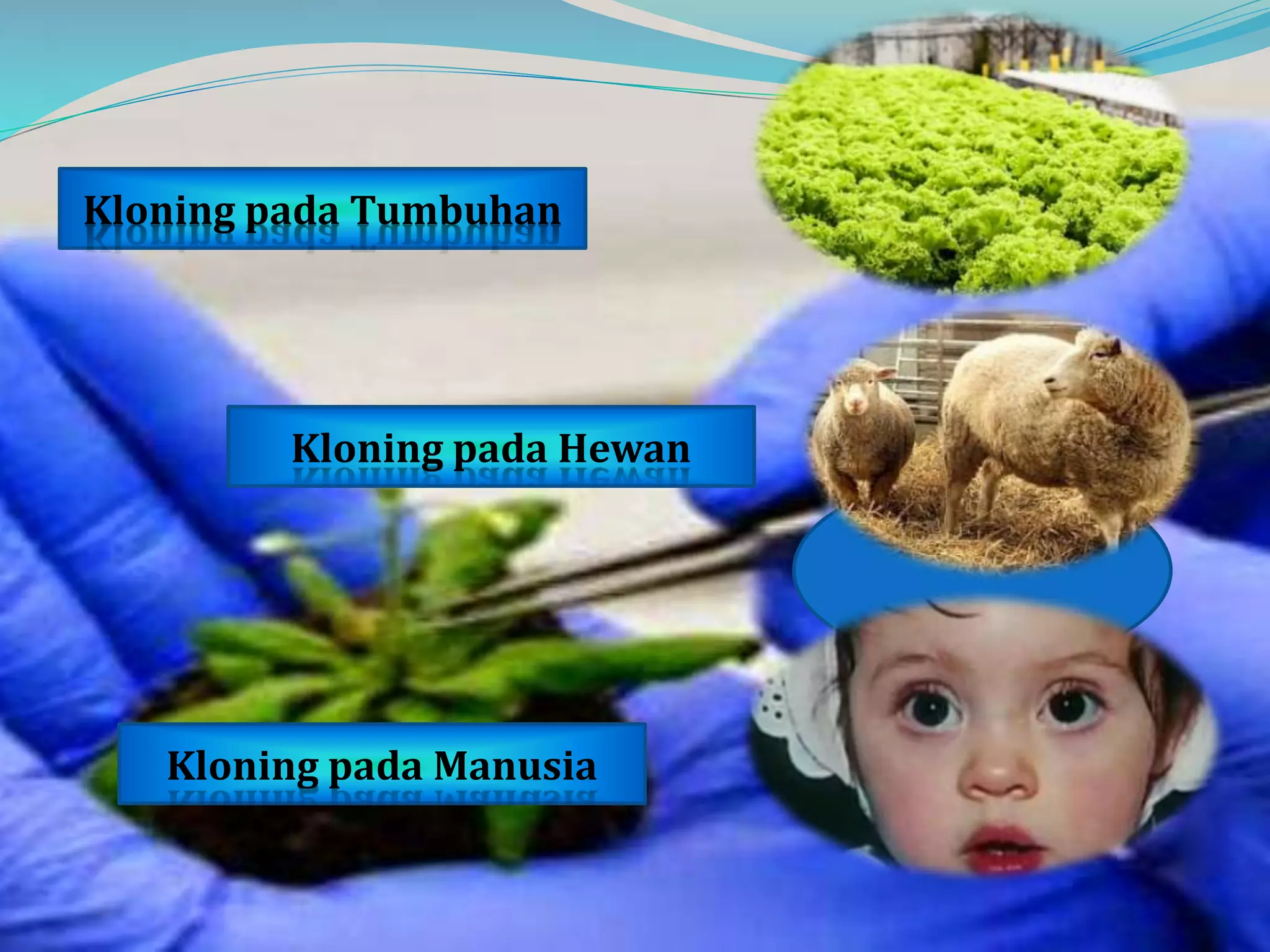 Bioteknologi Kloning | PPTX