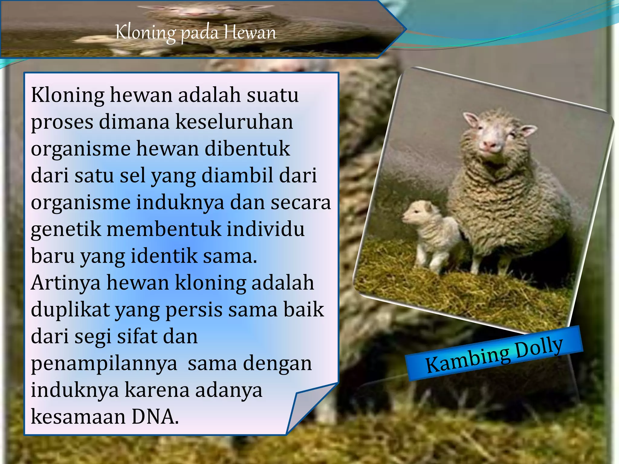 Bioteknologi Kloning | PPTX