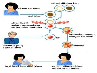 Bioteknologi Kloning | PPTX