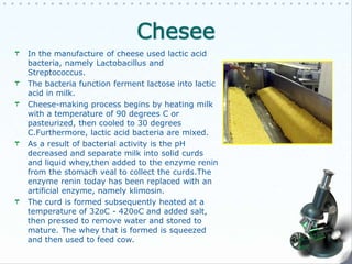 Bioteknologi konvensional | PPT