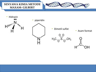 Kelompok 5 Kimia B (Sekuensing DNA) | PPT