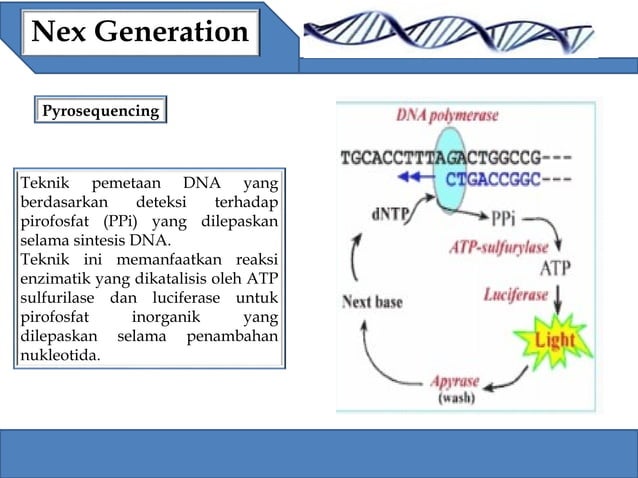 Kelompok 5 Kimia B (Sekuensing DNA) | PPT
