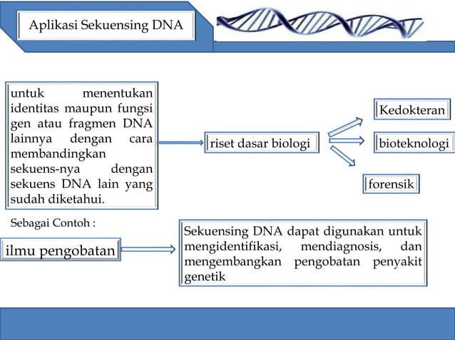 Kelompok 5 Kimia B (Sekuensing DNA) | PPT