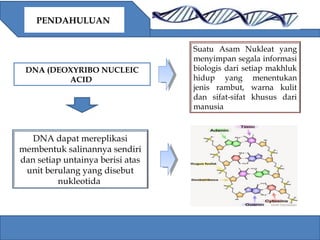 Kelompok 5 Kimia B (Sekuensing DNA) | PPT