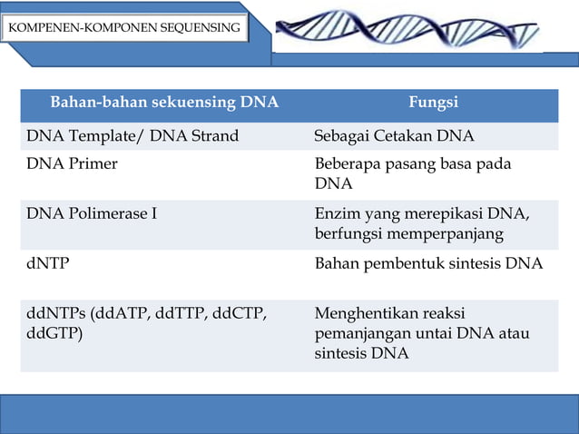 Kelompok 5 Kimia B (Sekuensing DNA) | PPT