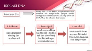 Isolasi DNA | PPTX